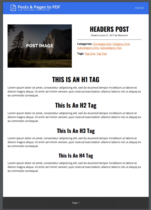 WordPress Posts to PDF - weLaunch