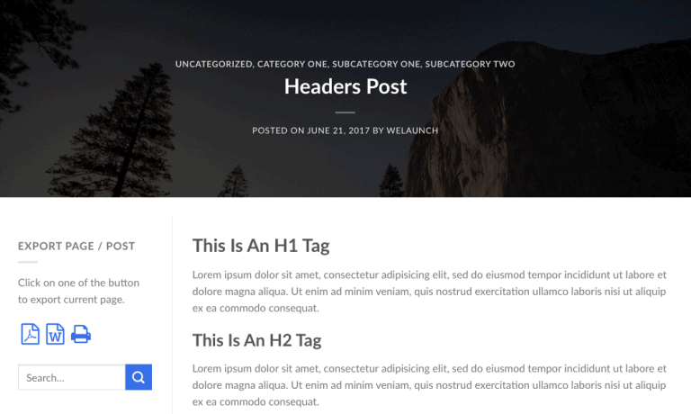 WordPress Posts to PDF - weLaunch