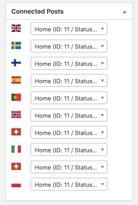 WordPress Multilingual Multisite - weLaunch